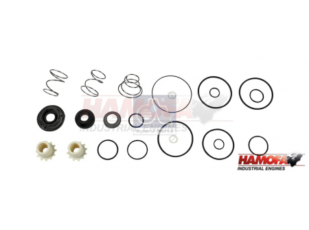 Buy REPAIR KIT 5000822439-ENGINE REPAIR KIT