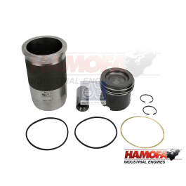 Buy MERCEDES PISTON WITH LINER 5410302737-ENGINE PISTON & LINER